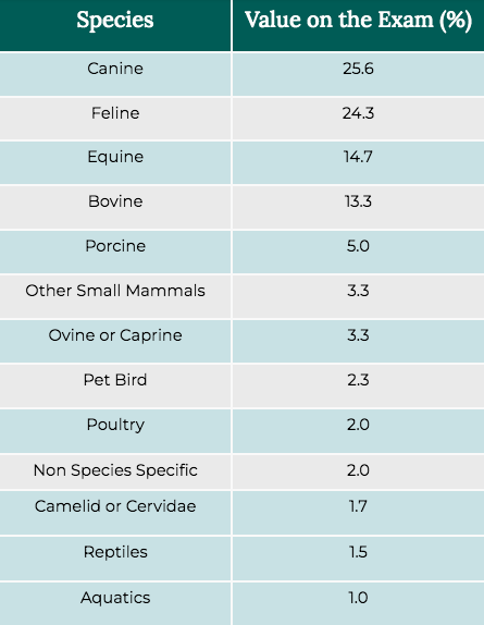The NAVLE Exam | Everything You Need to Know